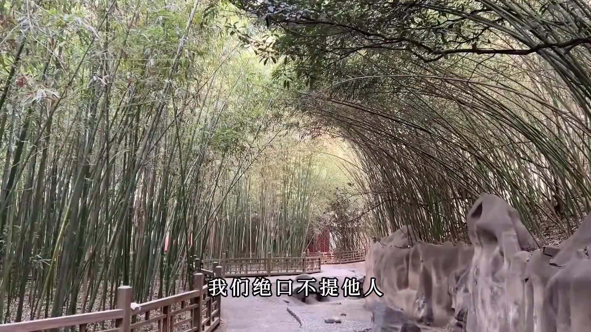 人生没有白走的路,每一步都算数 #人生哲学