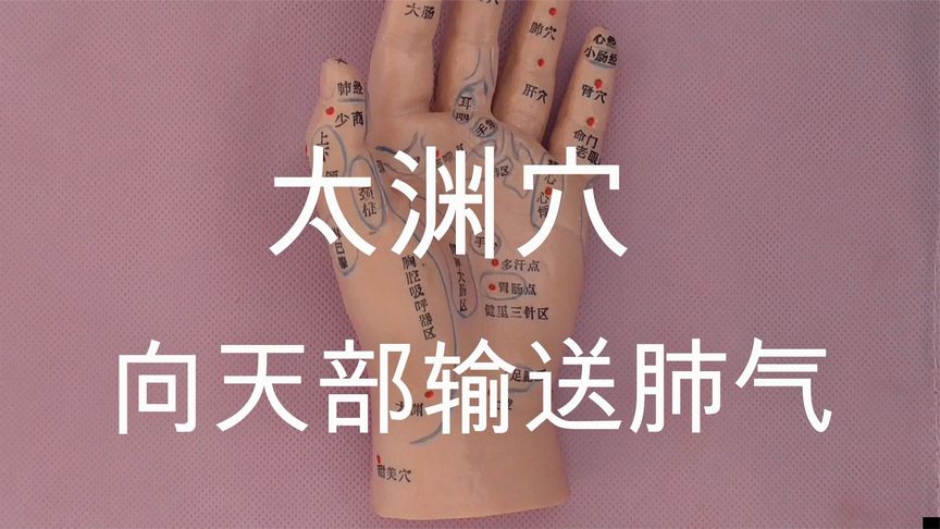 太渊穴主治:胸痹逆气,善哕呕,饮水咳嗽,烦闷不得眠,肺胀膨