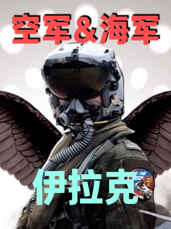 中东军力系列:伊拉克空军&海军 #硬核深度计划 #伊拉克 #伊拉克空军