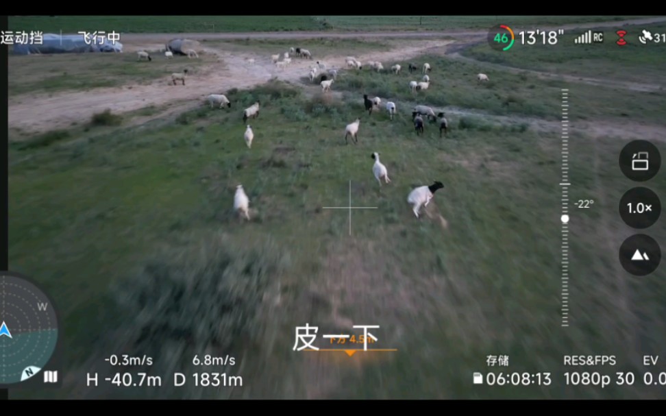 大疆DJI Mini3 Pro五级大风超低空拉距飞行12KM,差点炸机