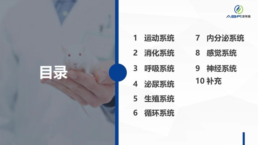 动物实验常规解剖学认识及动物模型~#实验室日常#医学生日常