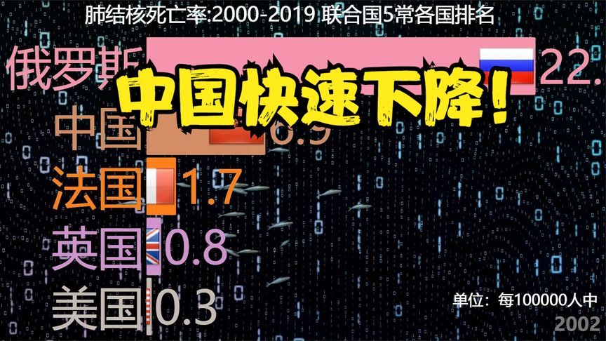 联合国5常国家_健康-风险因素-肺结核死亡率