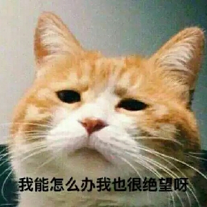 薇薇oOO 