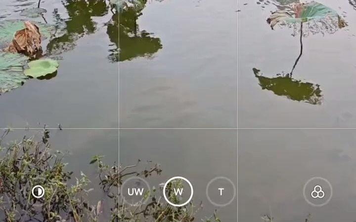 小米14专业模式拍摄小米14小米14专业模式手机专业模式专业模式...