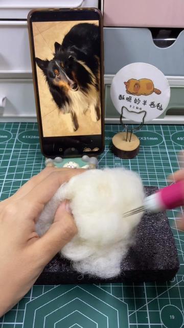 羊毛毡戳戳乐,手工diy,手作,仿真
