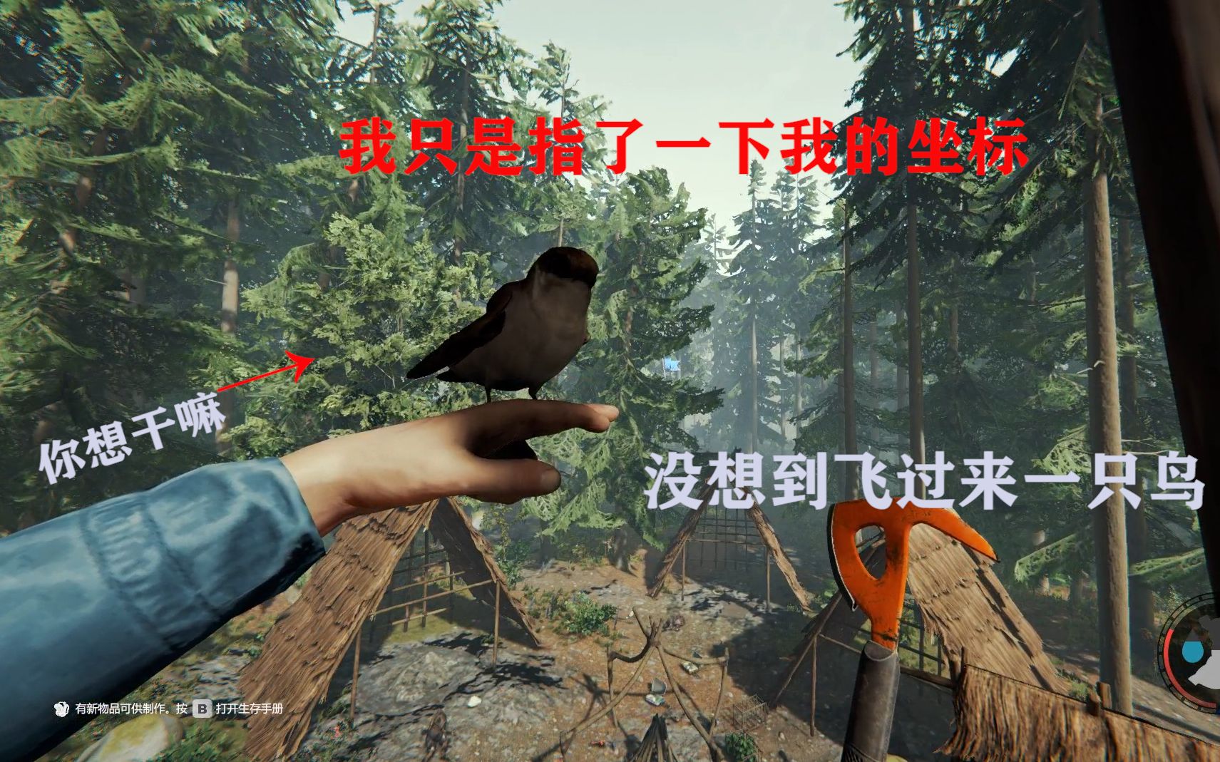 森林01:迷失森林生存第一天,上瞭望塔看方向,一只鸟突然飞到手上想...