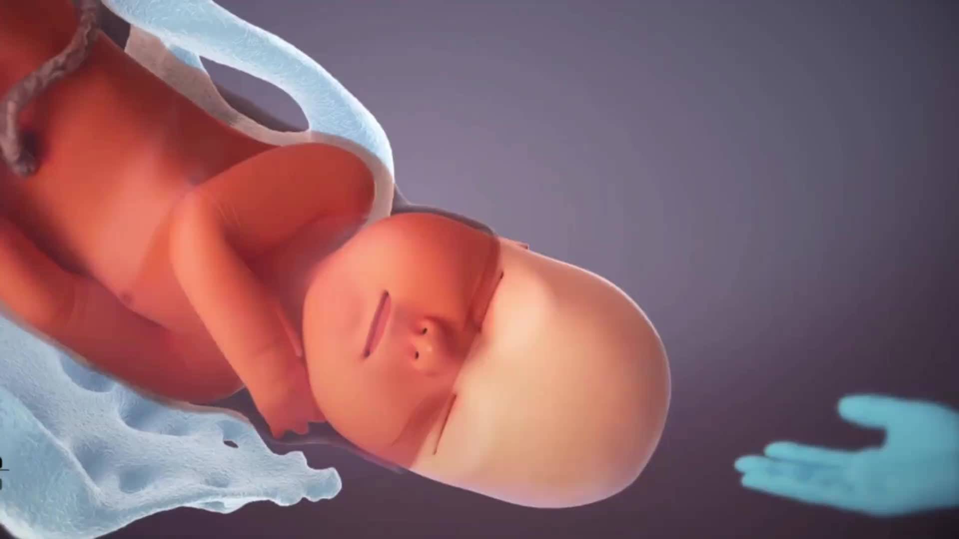 生孩子有多痛,分娩全过程演示