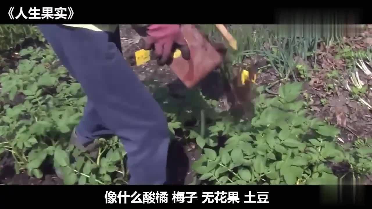 .中最好的纪录片排行榜前十名.