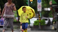 S819 实拍 城市雨景,书包小学生过马路,雨伞 小孩过马路 学生安全 高清...