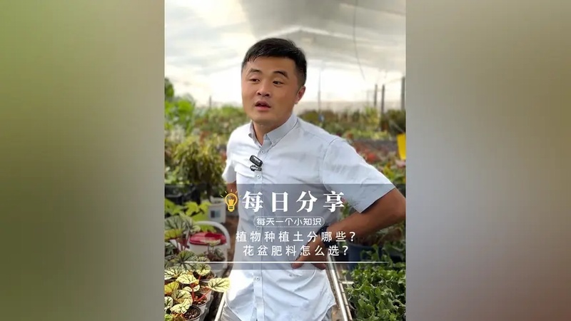 植物种植土分哪些? 花盆肥料怎么选?
