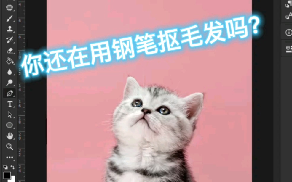 每天一个PS小技巧:怎么快速抠毛发?