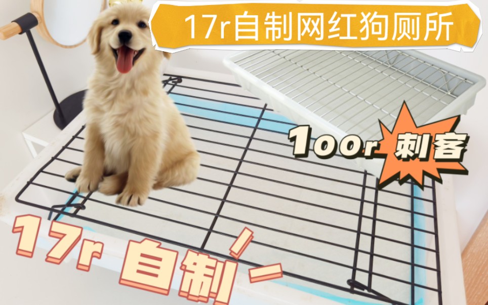 宠物用品刺客退!退!退!17元自制网红宠物狗厕所教程
