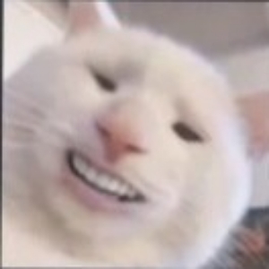 蜜机 