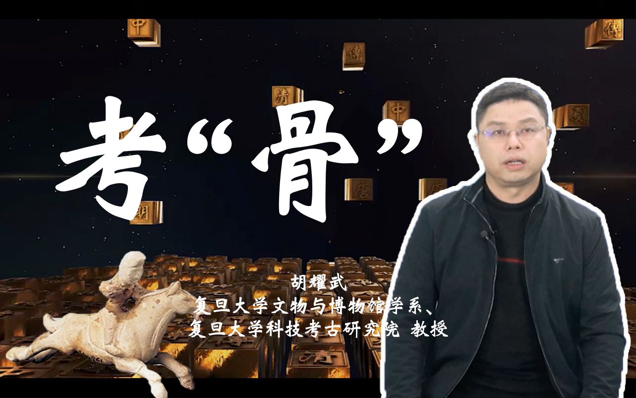 ...考古与考“骨” 复旦大学文博系教授胡耀武讲述考“骨”的故事04