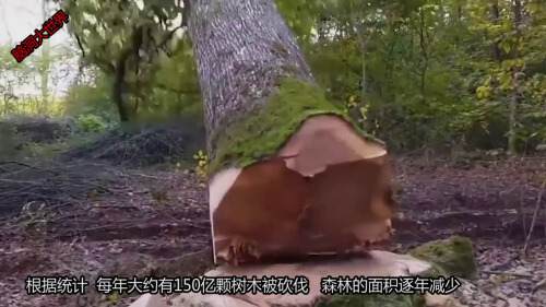 如果把所有的森林都砍光,地球会变成什么样?对生活有什么影响