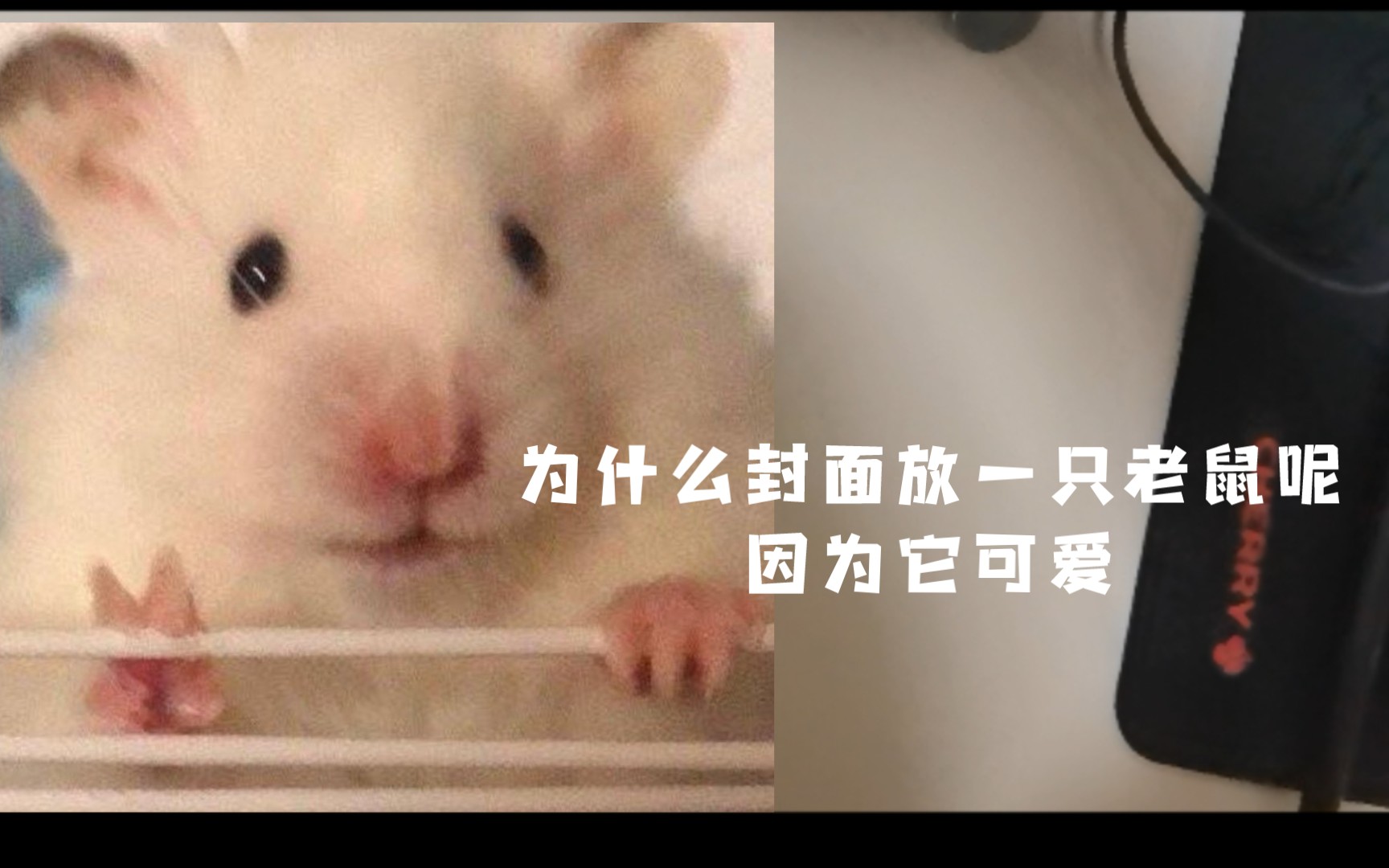 【手工】弱智也能学会的皮筋制作方法