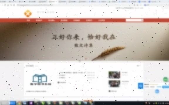网站代码java-net-php-python-ssm数字图书馆系统计算机毕业设计程序