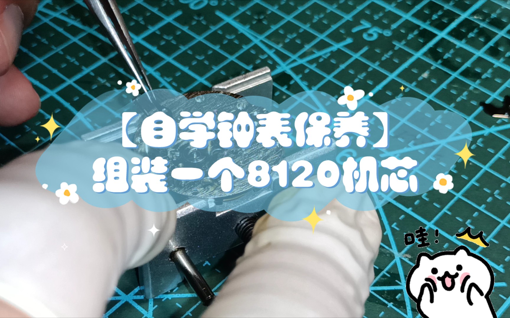【自学钟表保养】组装一个上海8120机芯