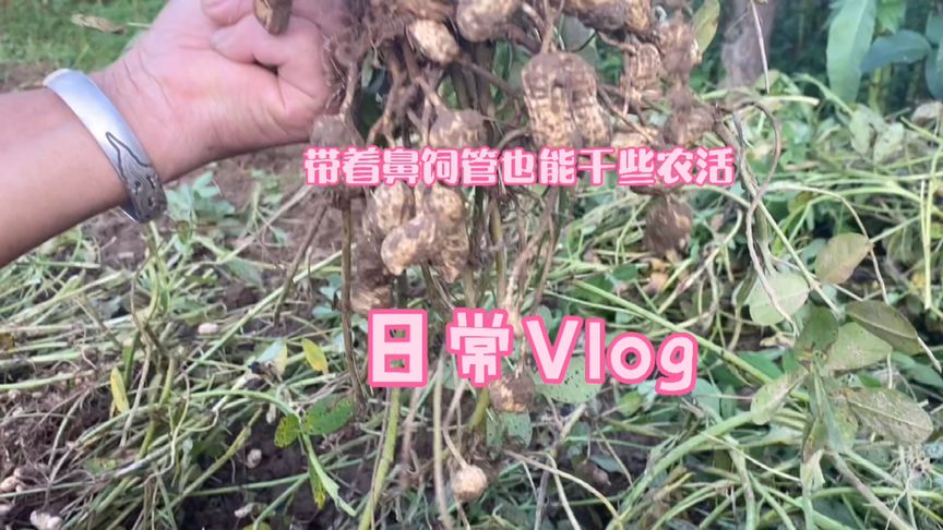 如果余生都需要戴着鼻饲管,你会怎么选择?我选择了与它相互成就