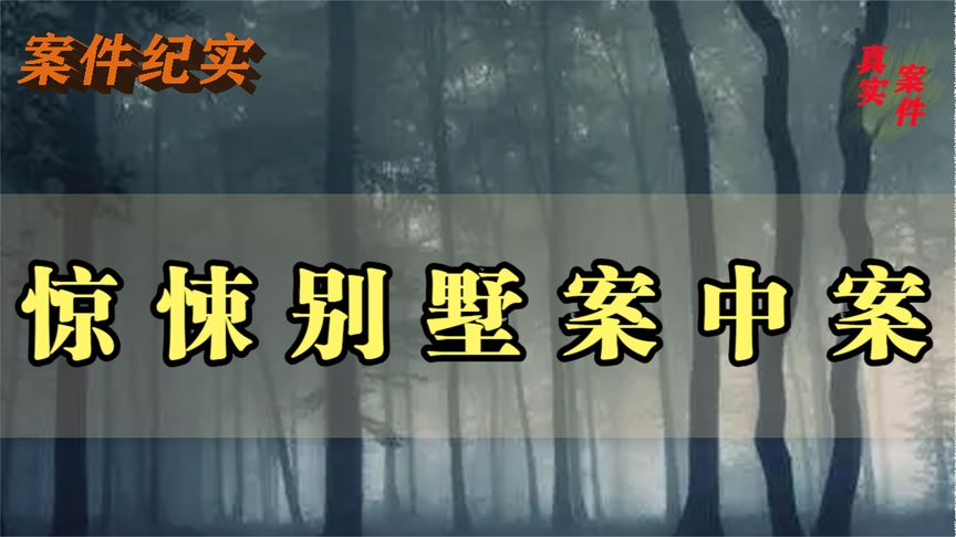 大案记实录——惊悚别墅案中案