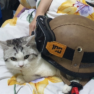 性感铁拳吃个娜娜 