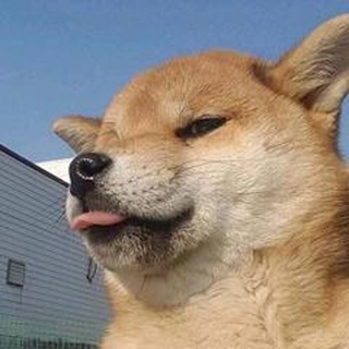 贱三十二