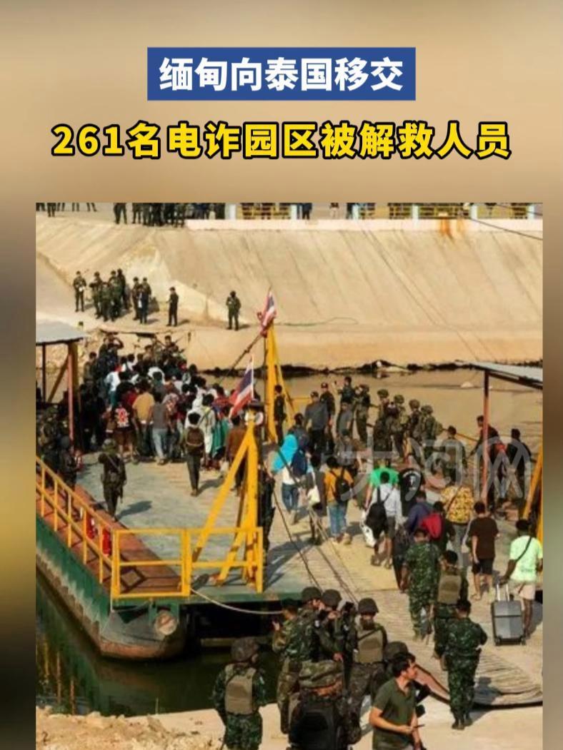缅甸向泰国移交261名电诈园区被解救人员。缅甸 电信诈骗