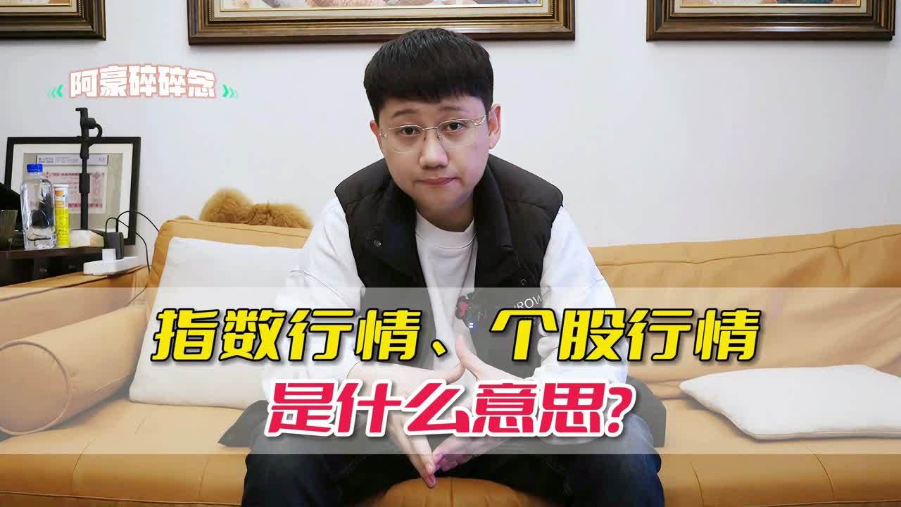 指数行情、个股行情,是什么意思