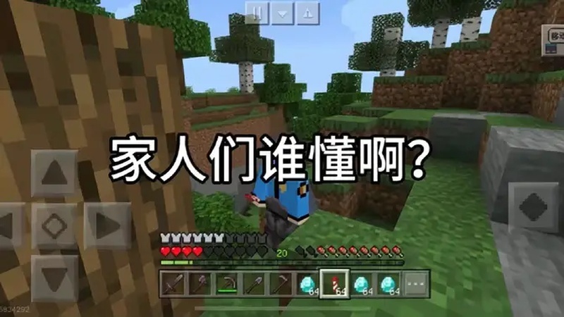 我的世界萌新:鞘翅怎么用啊!