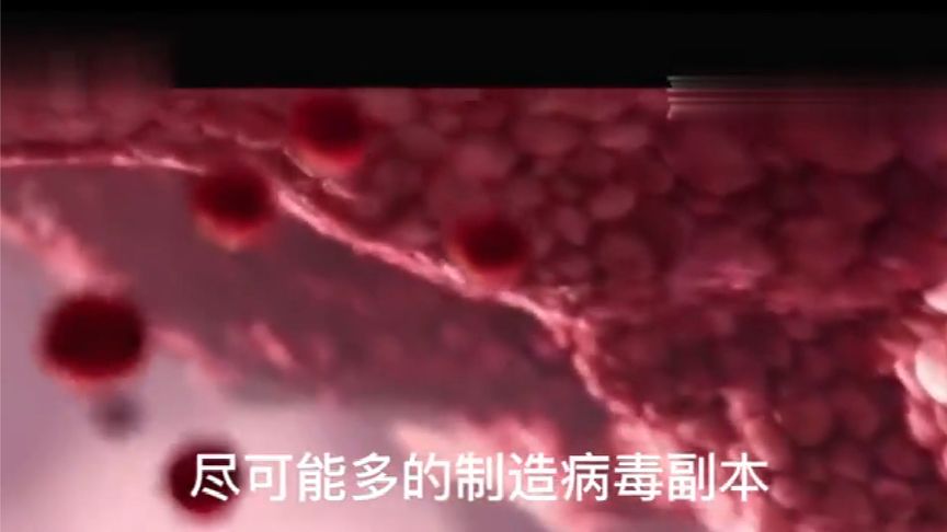 细菌VS病毒有何区别