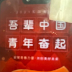 梦随旗扬 