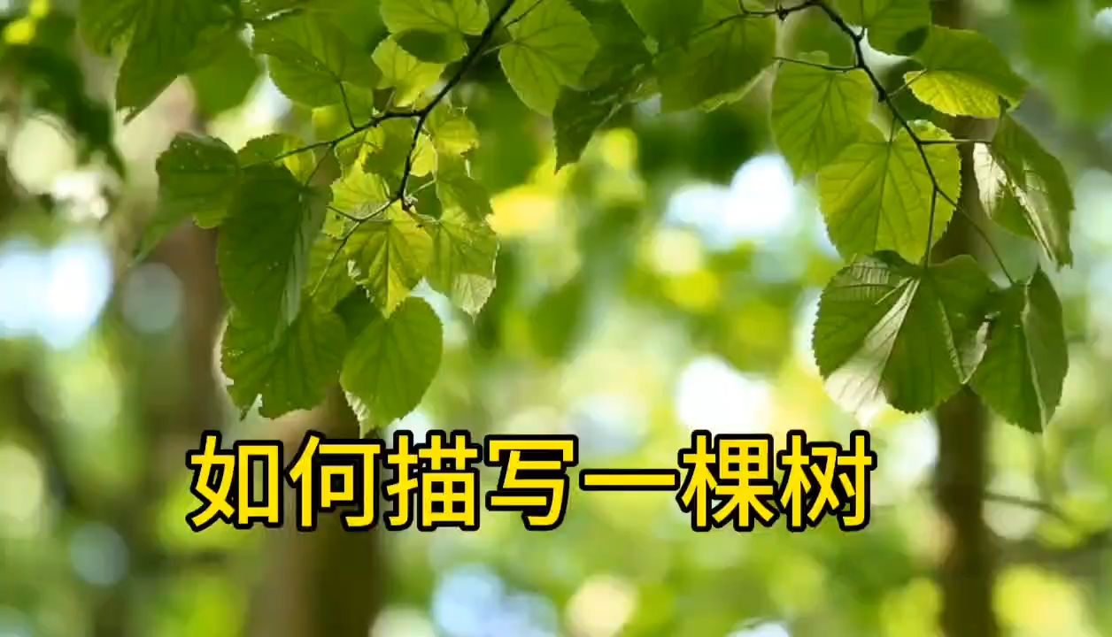 《奔流小作家》全国中小学生全息作文大赛:如何描写一棵树