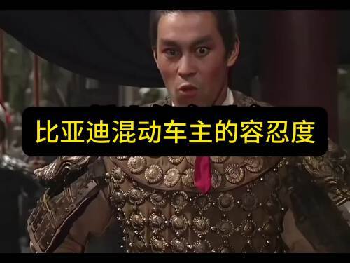 比亚迪混动车主的容忍度