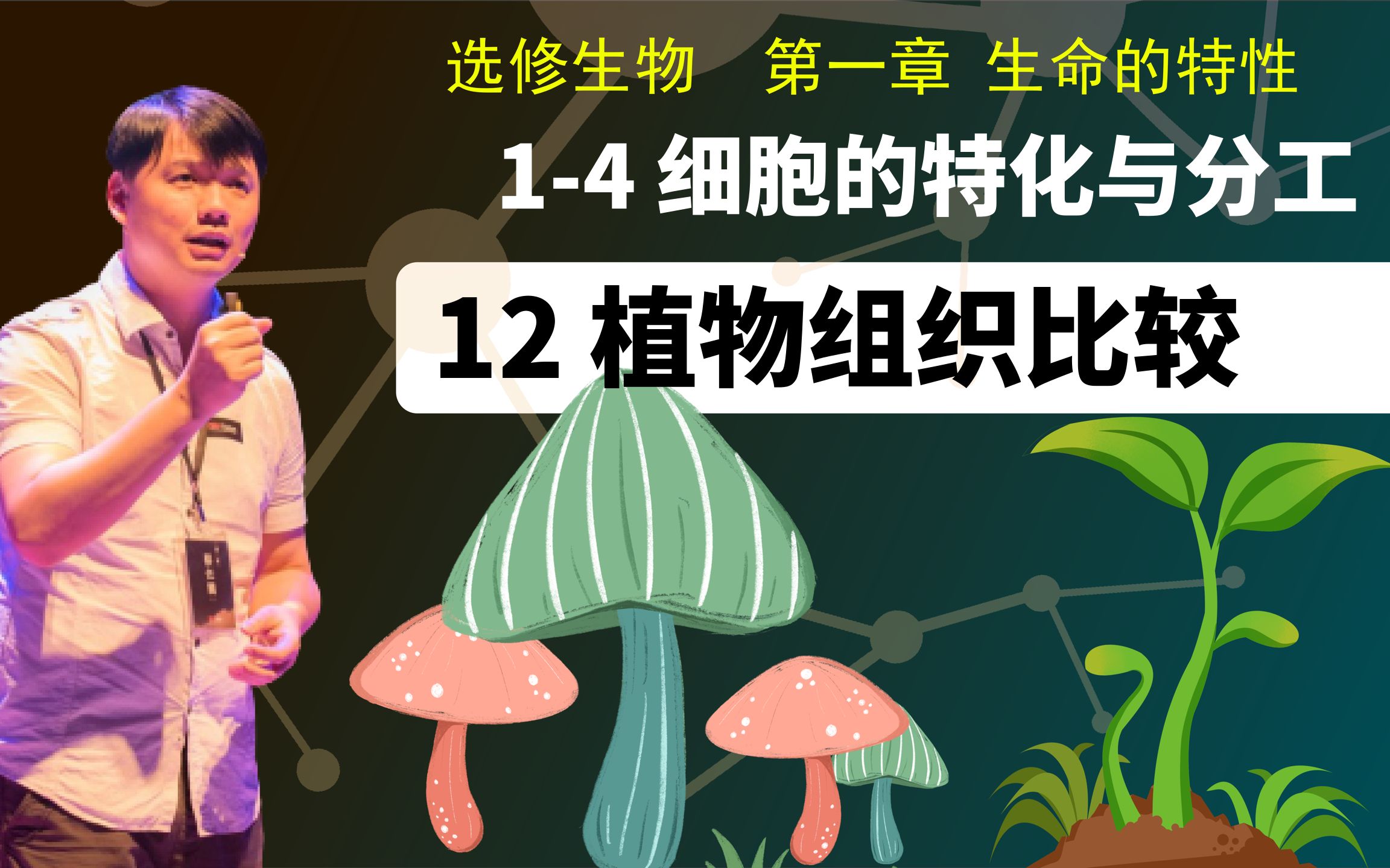 选修生物1-4.12 植物组织比较