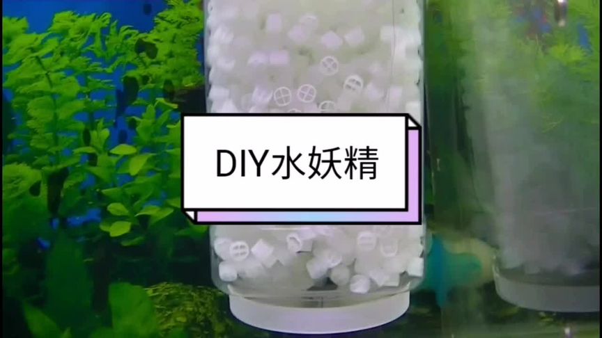 #DIY #diy鱼缸过滤