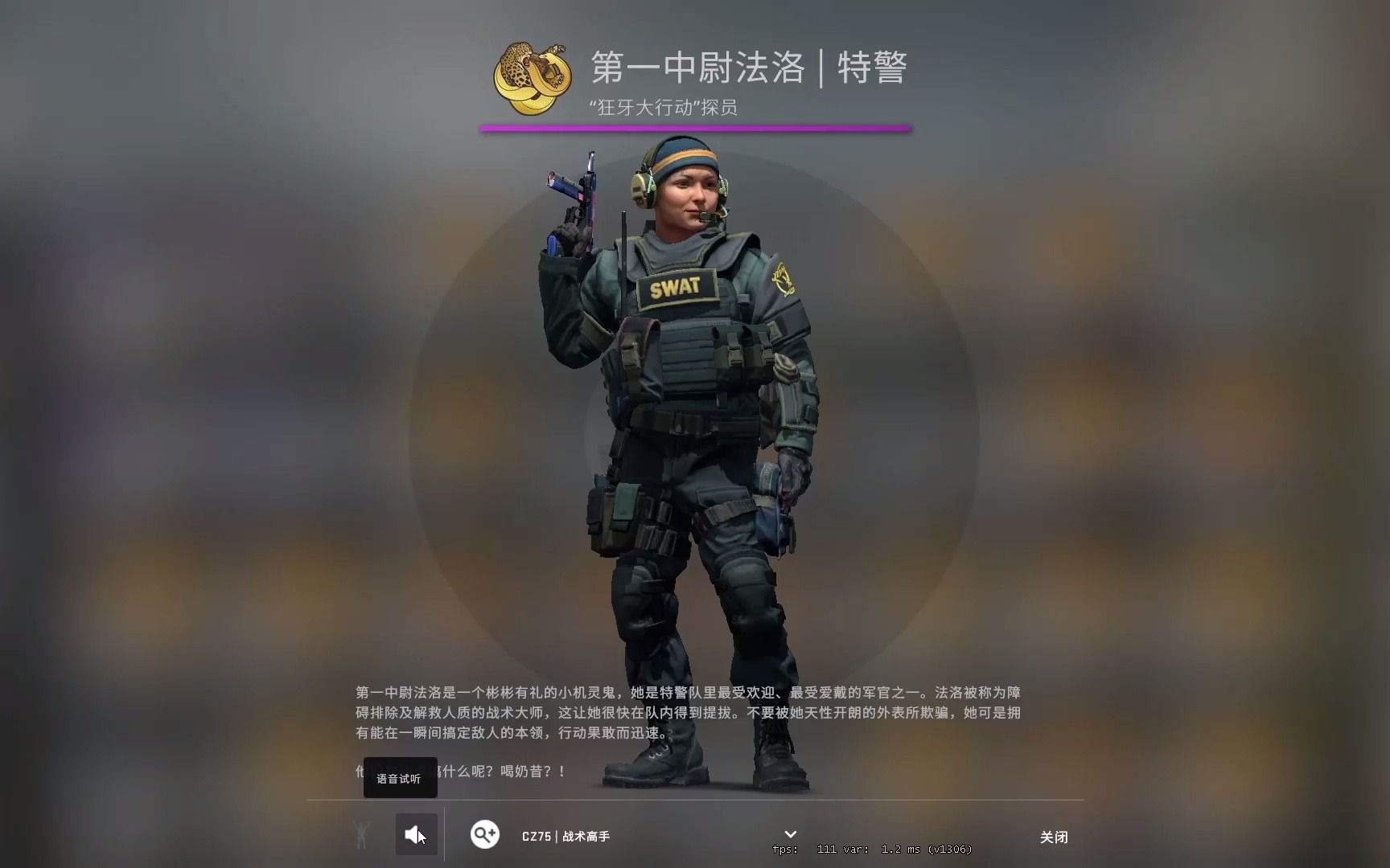 CSGO全英文报点教学