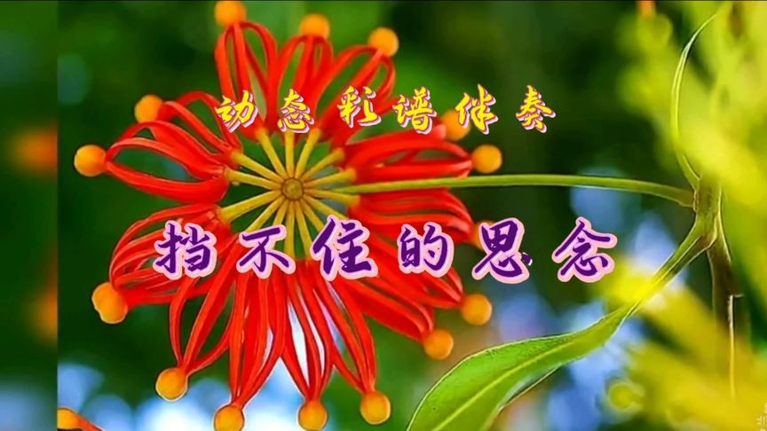 DJ版《挡不住的思念》A动态彩谱伴奏