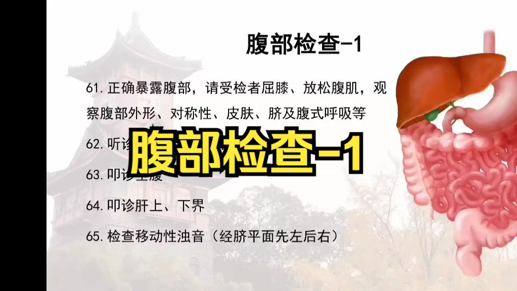 全身体格检查 腹部检查-1