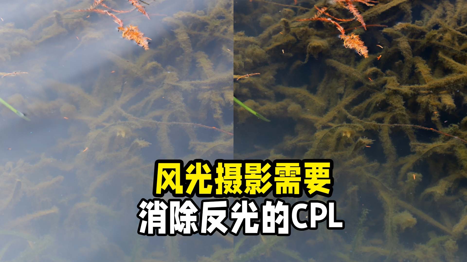 偏振镜CPL镜片轻松消除水面反光