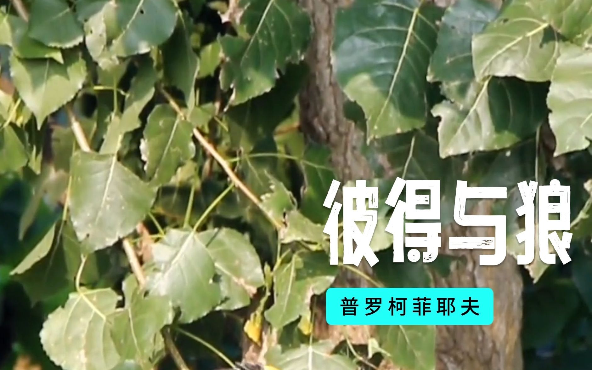 彼得与狼长笛版