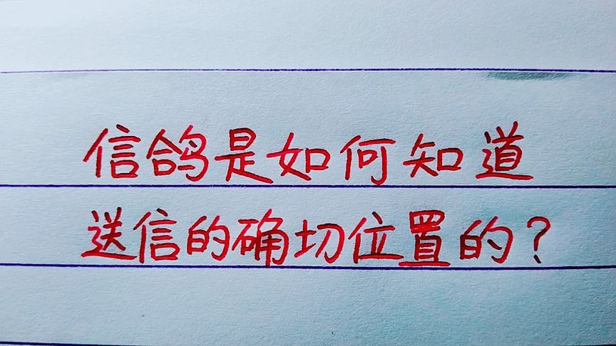 信鸽是如何知道送信的确切位置的