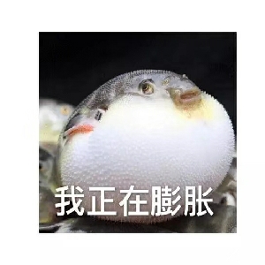 头发去哪儿啦 
