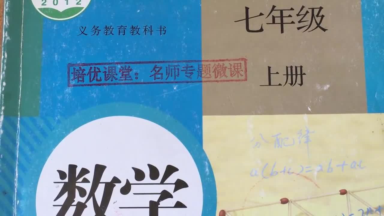 七年级数学上册 53 整式的加减 整式 P54