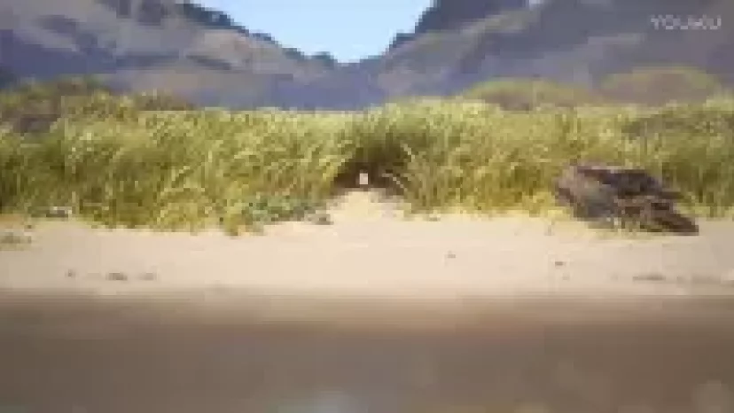 《鹬 Piper》 第89届奥斯卡提名动画短片