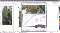 CorelDraw 调和曲线 cdr调整图片教程 位图调整