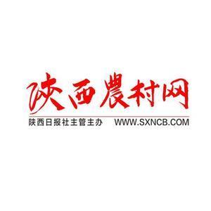 陕西农村网