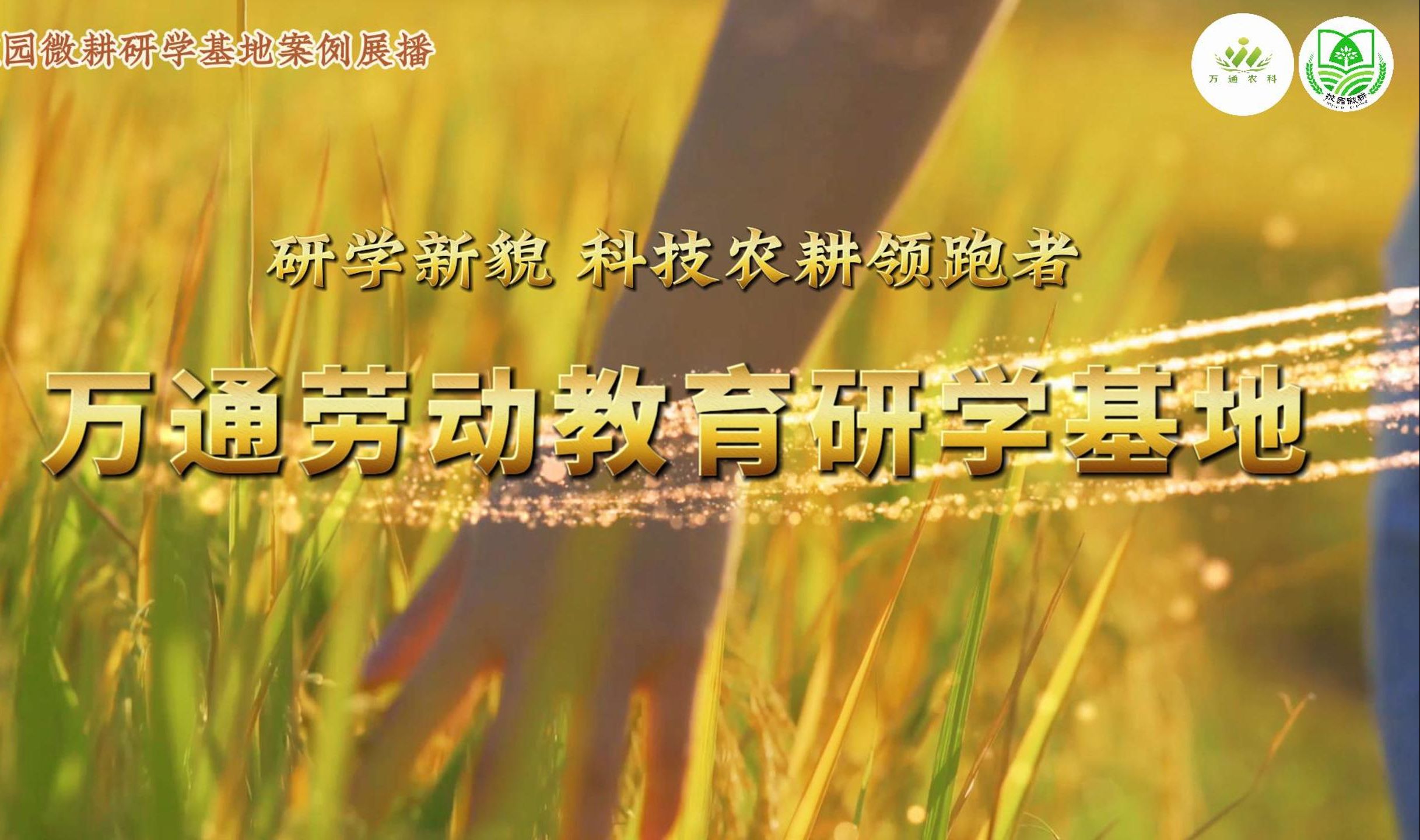 校园微耕研学基地案例展播——万通劳动教育研学基地