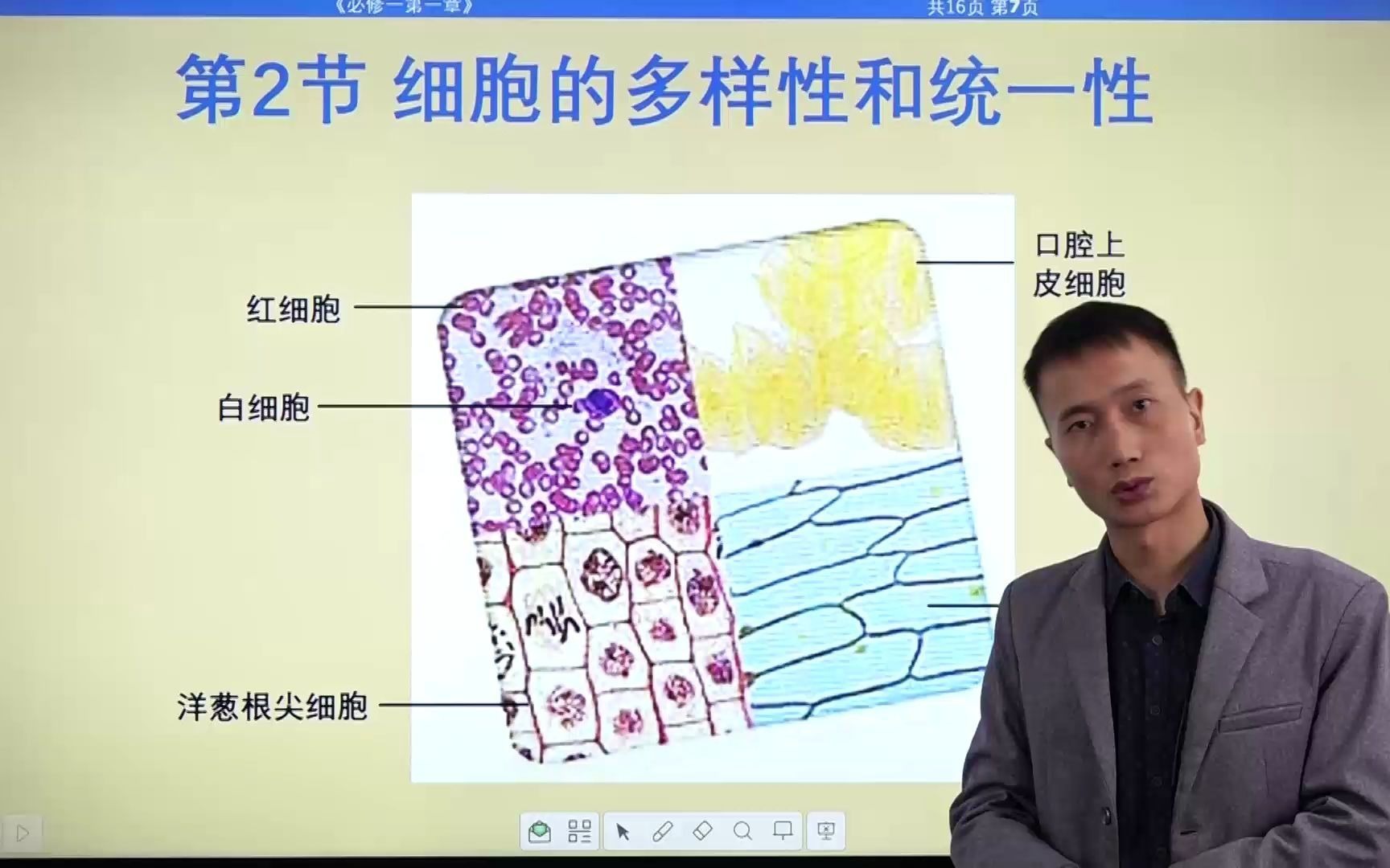 细胞多样性和统一性+显微镜