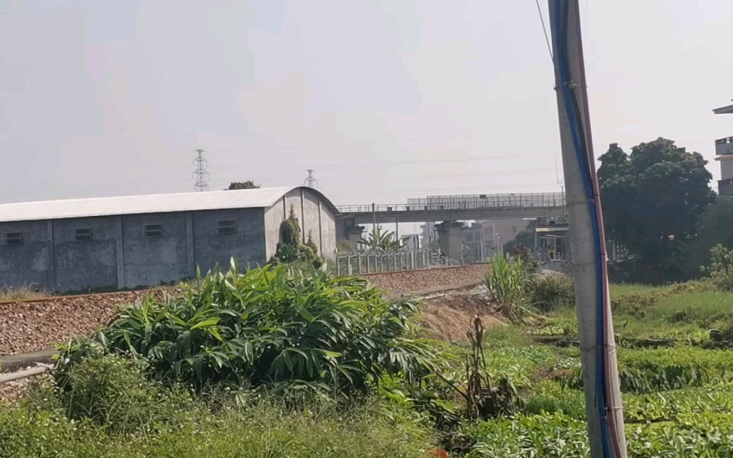 ...4B 2604牵引K231次列车通过新城监护道口前往茂名西站(2022.12.12)