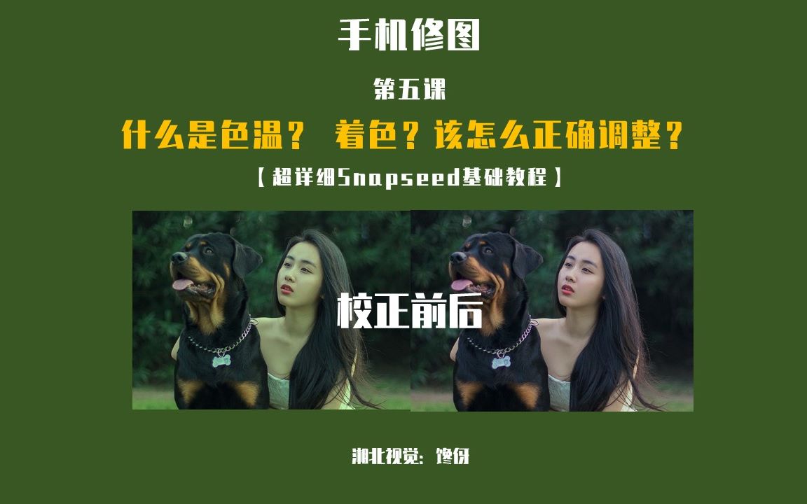 snapseed手机修图基础教程篇 色温 着色 吸管工具理解与实操